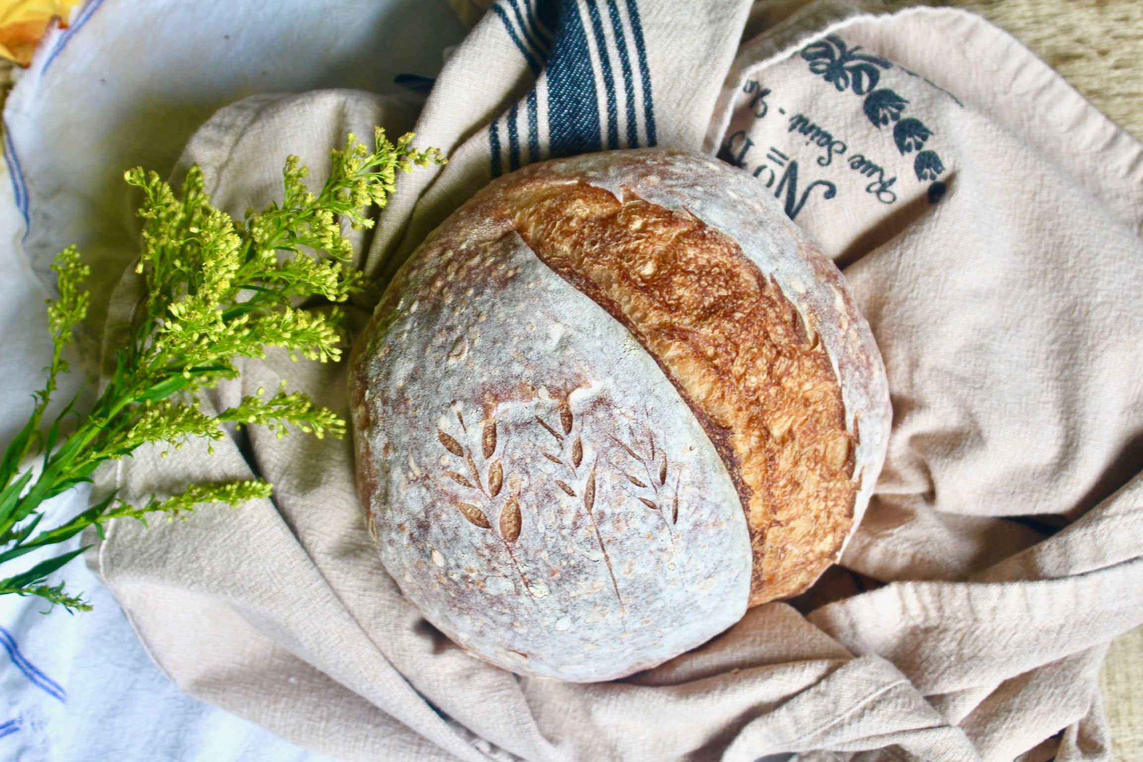 12/17 DELIVERY - Full Size Original Sourdough Boule | Twining Tree Farm