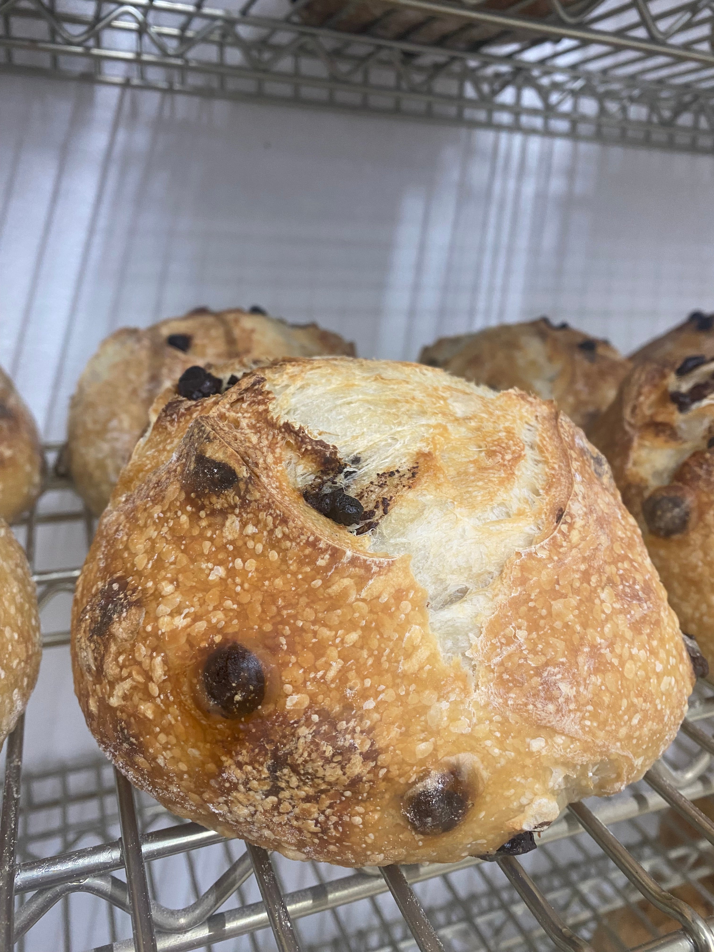 4/9 DELIVERY - Chocolate Chip Sourdough | Twining Tree Farm
