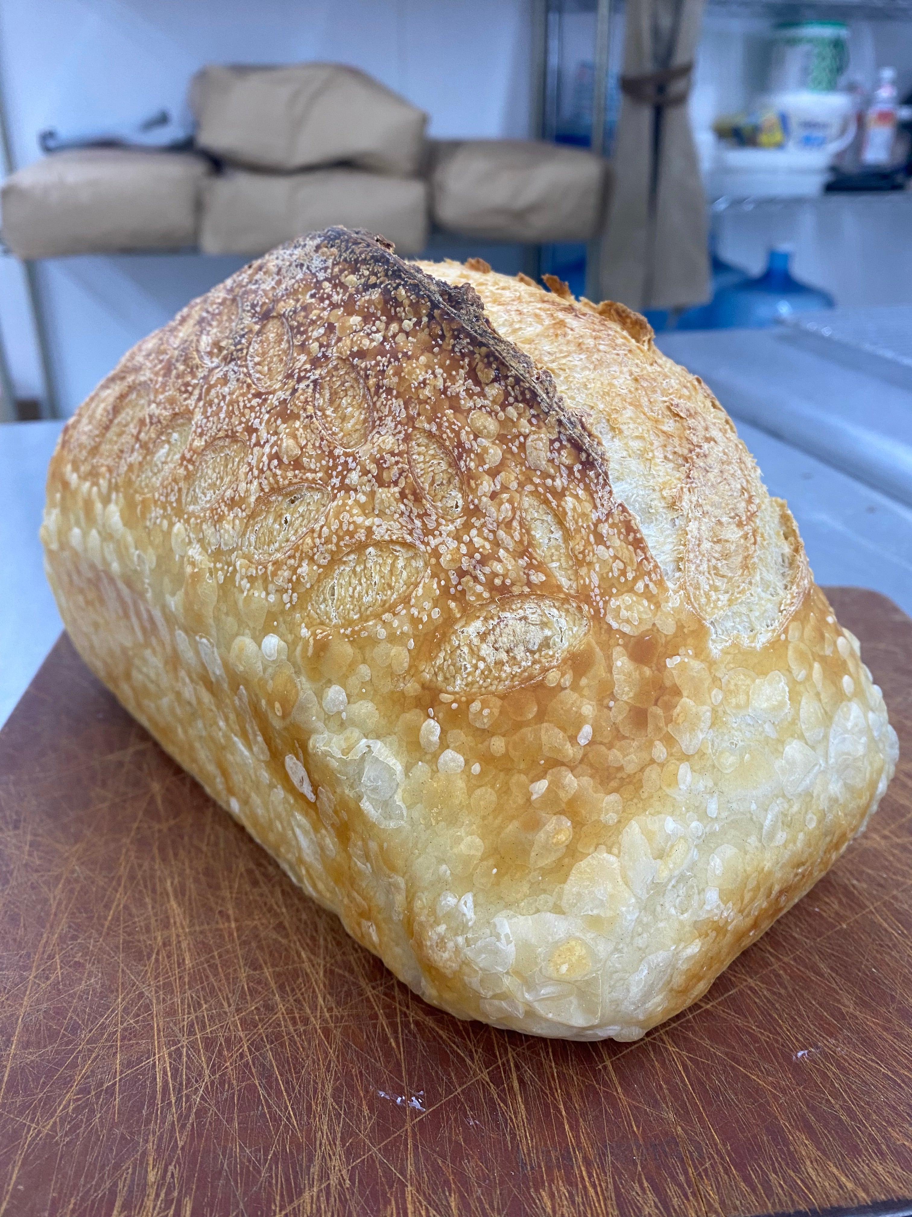 3/12 DELIVERY - Original Sourdough Sandwich Loaf | Twining Tree Farm