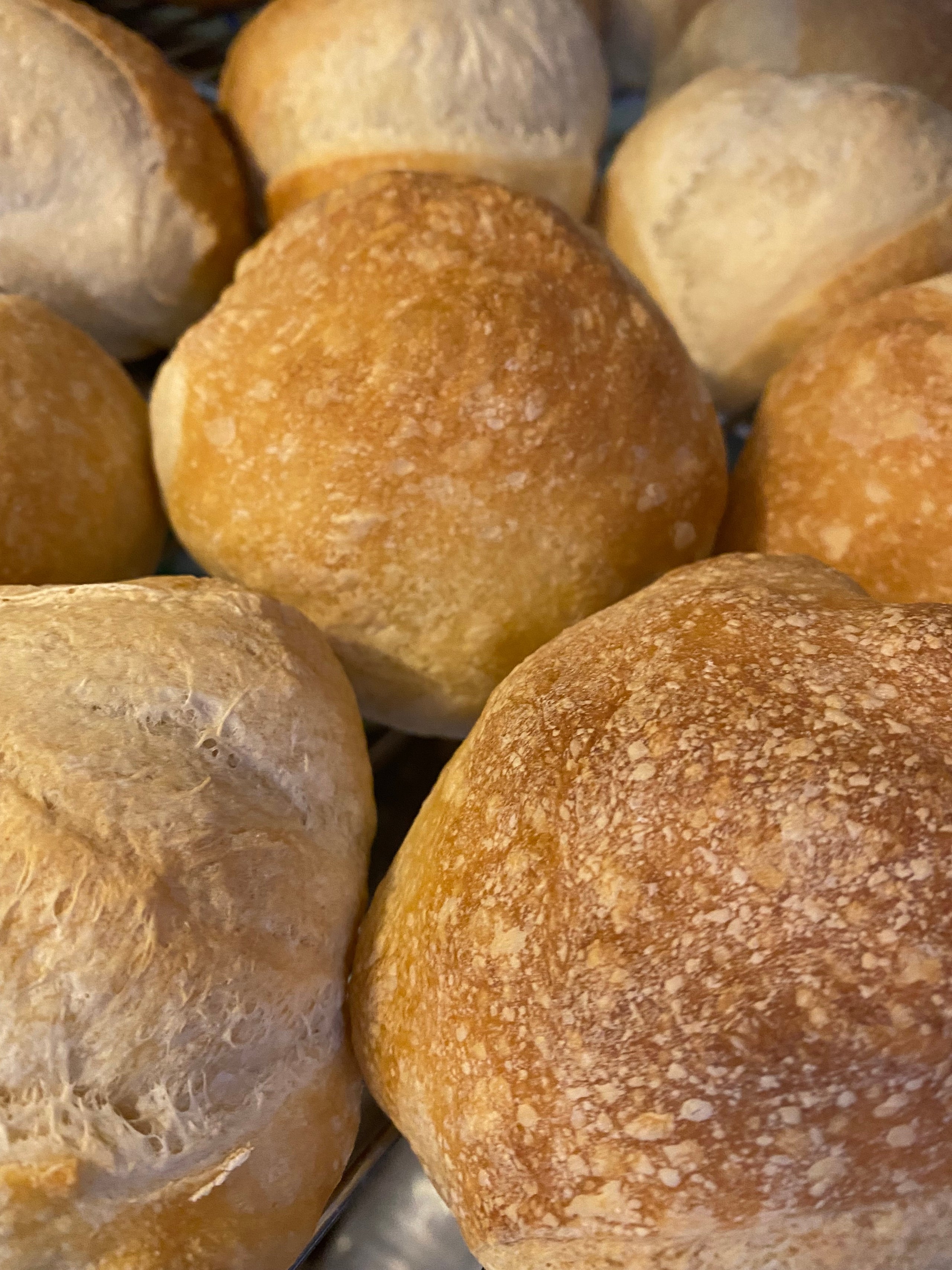 11/14 DELIVERY - Plain Baby Boules (4) | Twining Tree Farm