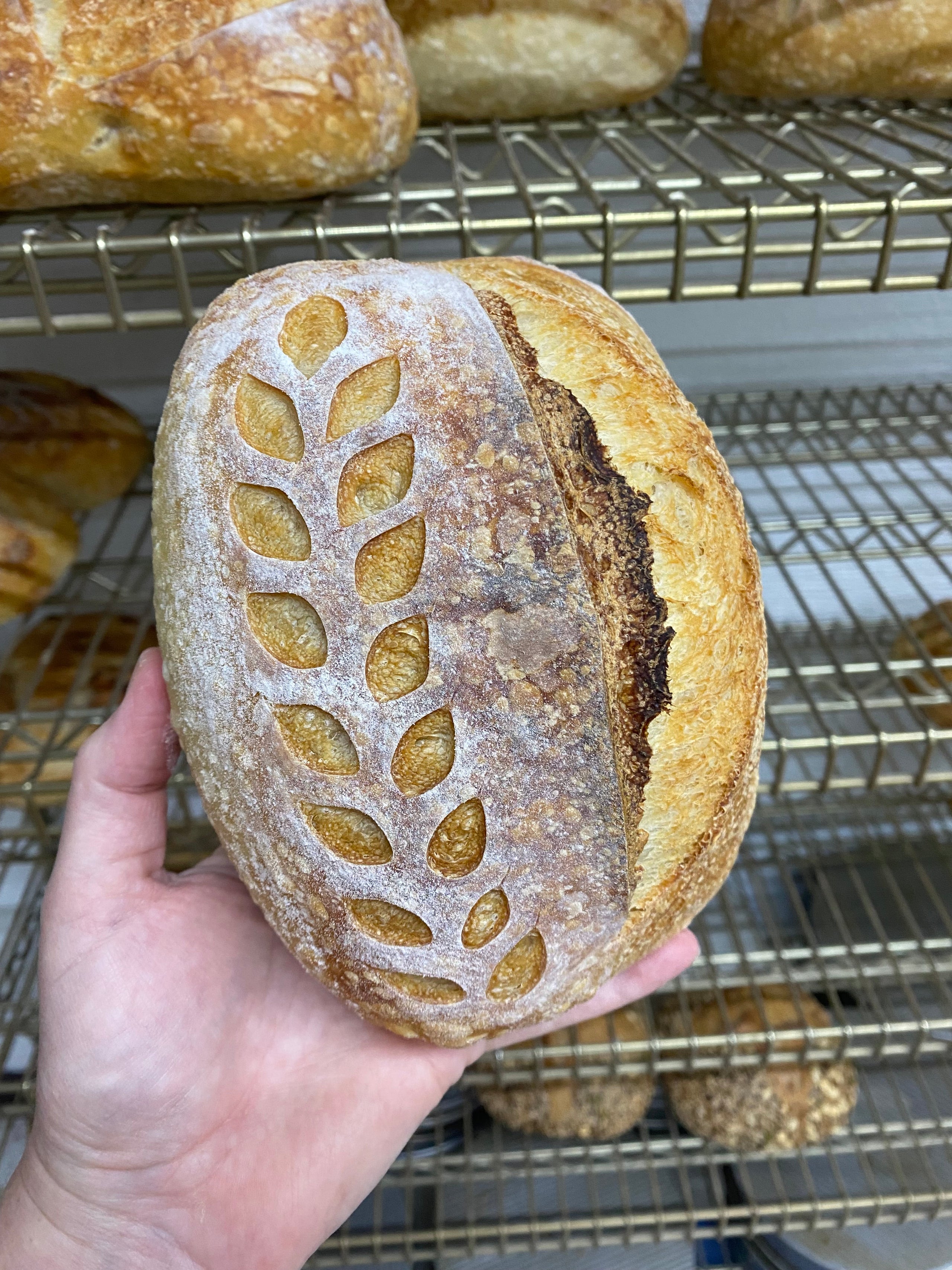 May 26 Sourdough Bread Workshop | Twining Tree Farm