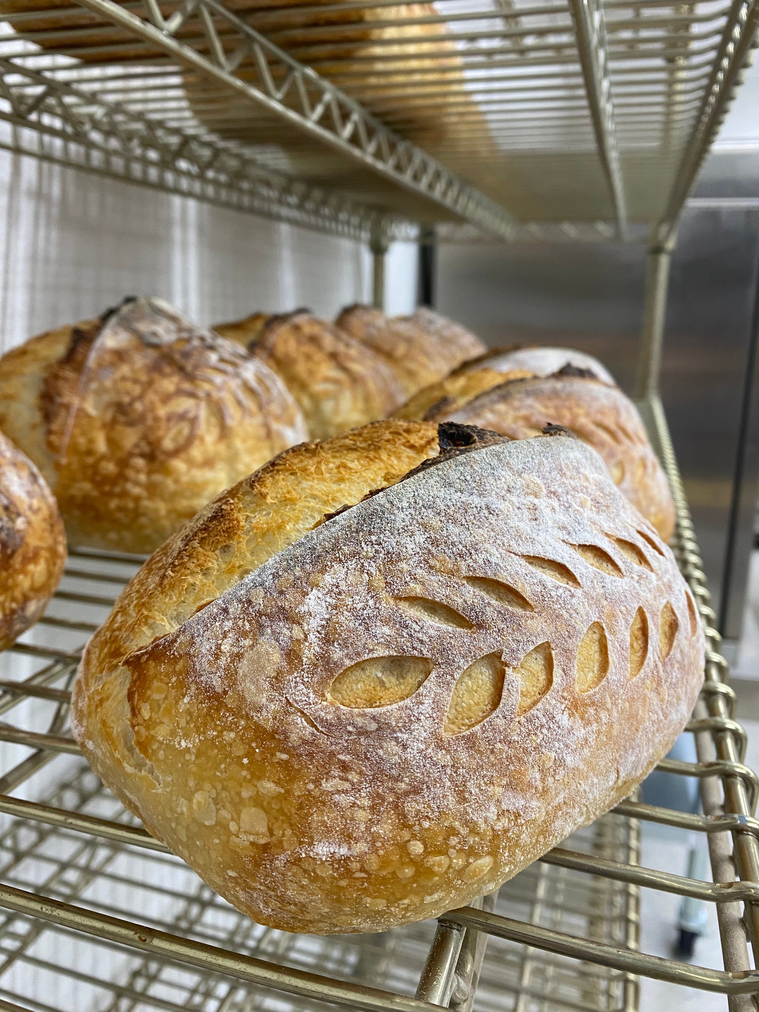 Make Your Own Sourdough Bread Workshop (Sunday, July 14) | Twining Tree ...