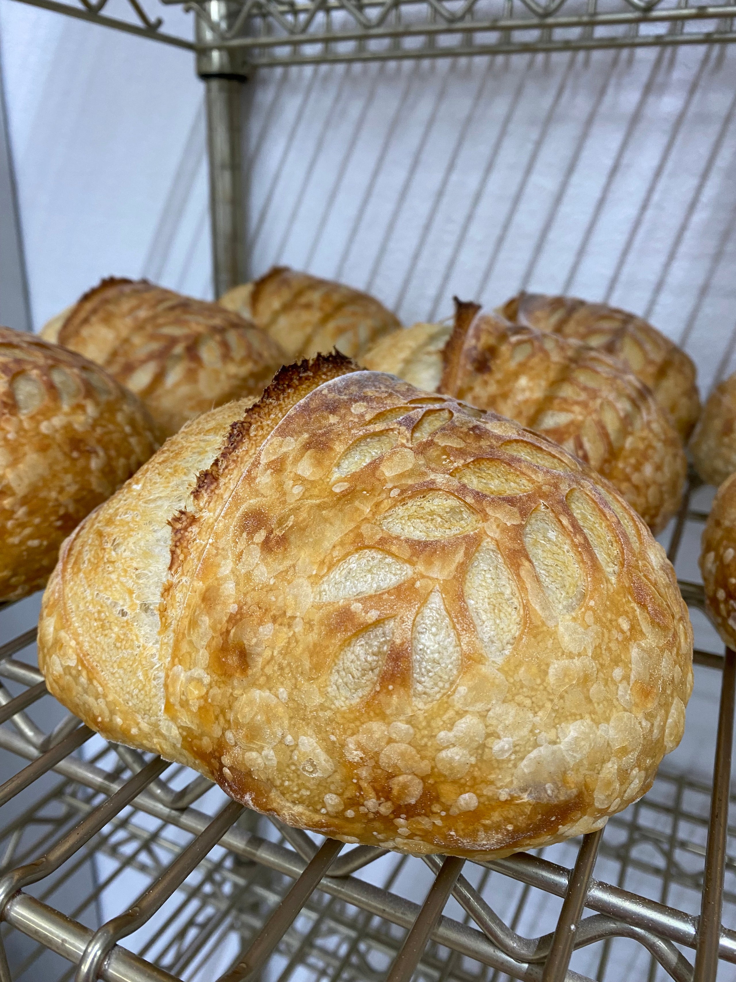 September Make Your Own Sourdough Bread Workshop | Twining Tree Farm